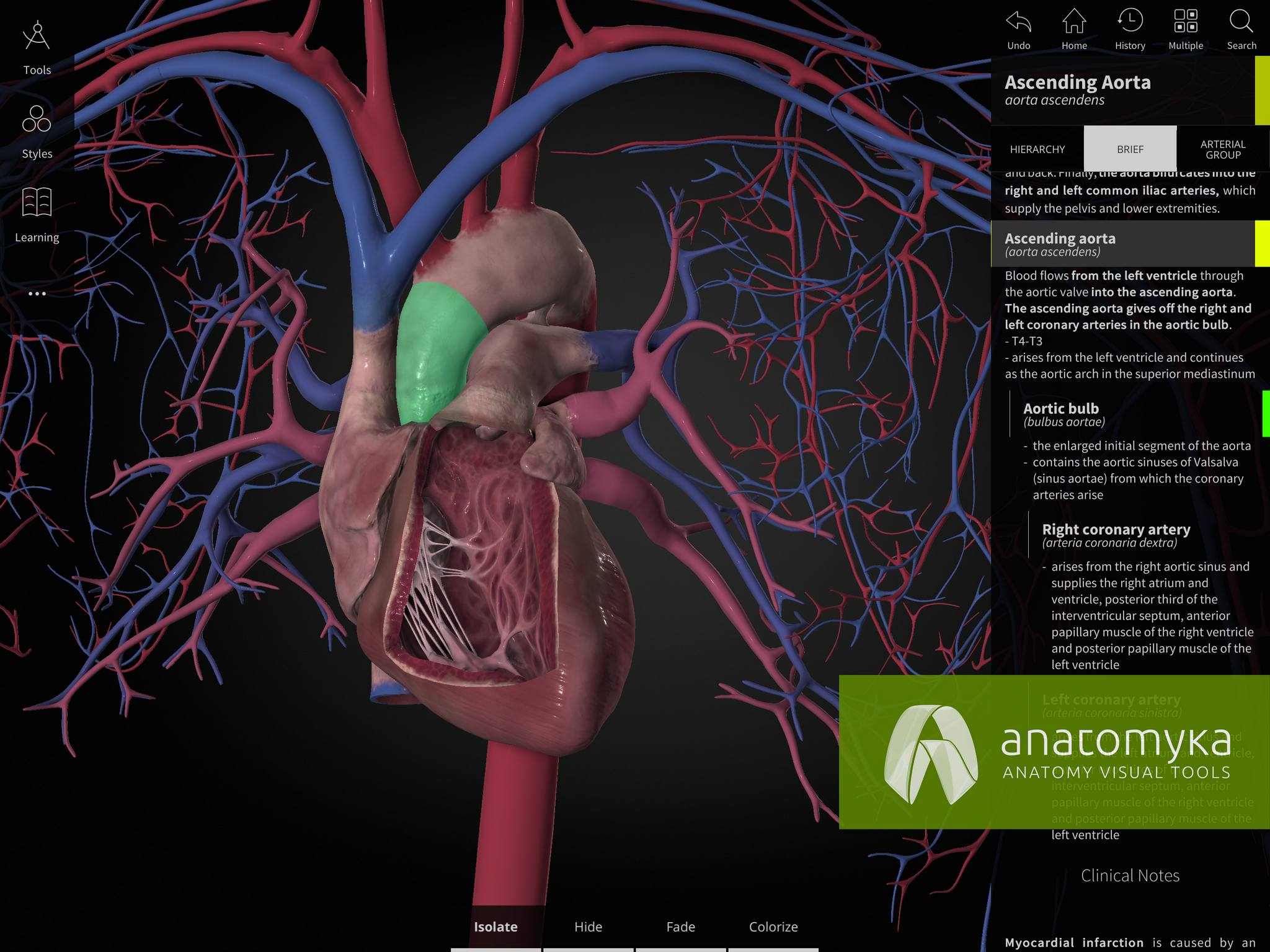 Human Anatomy Atlas App Review Protectsenturin