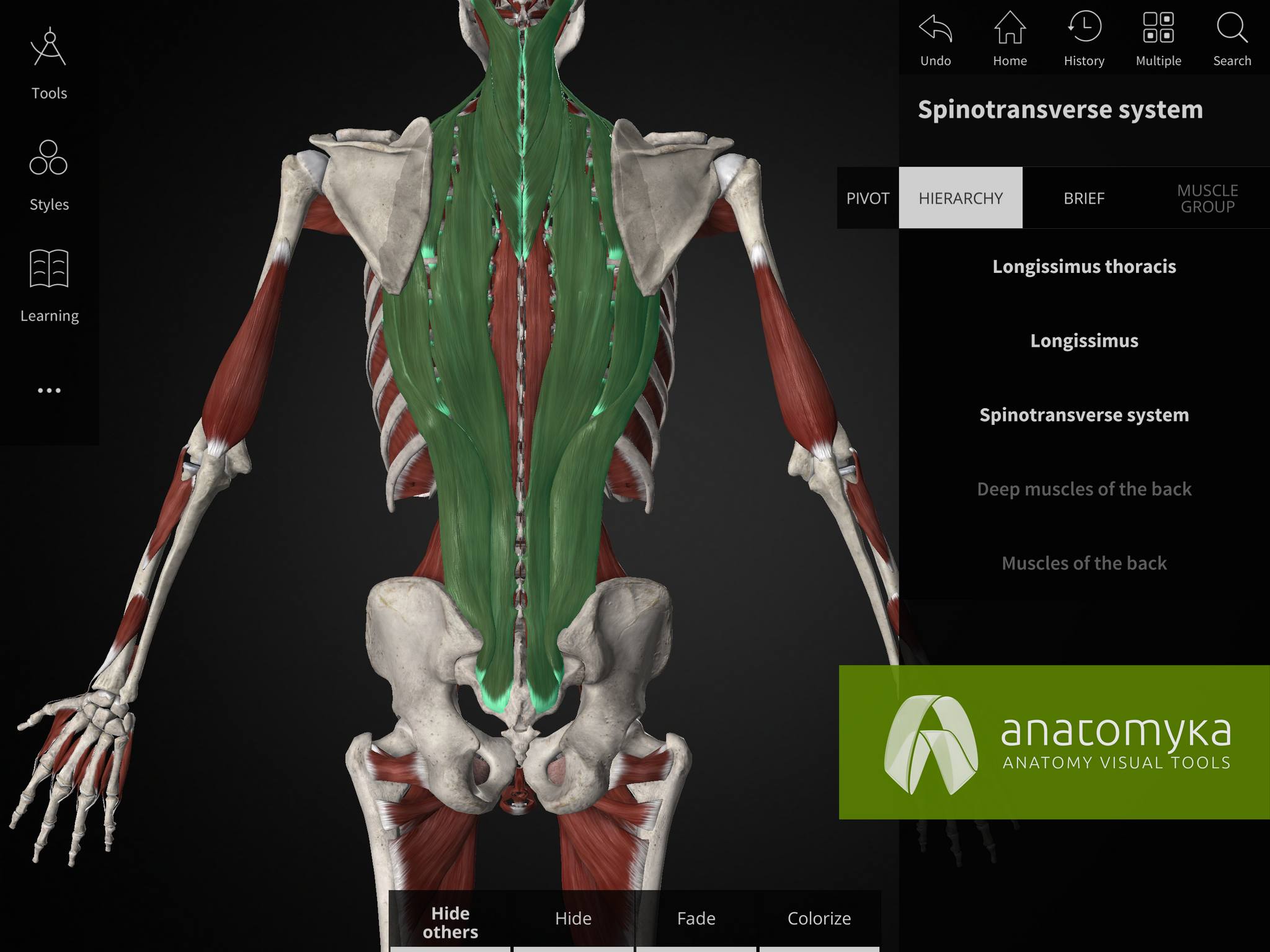 Human Anatomy Atlas App Soulhrom Human Anatomy Atlas App Soulhrom