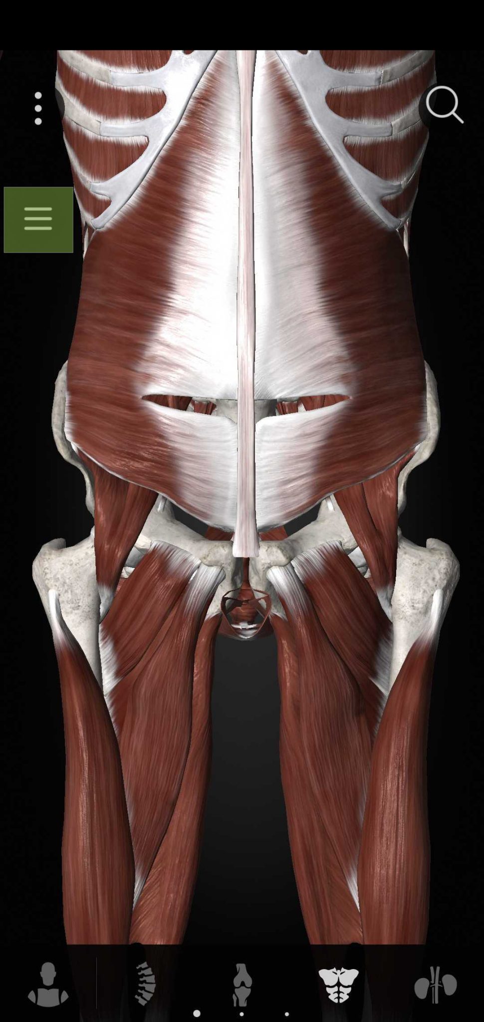 Login and installation l Anatomyka